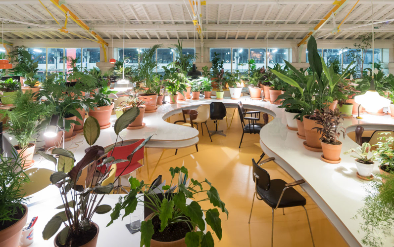 UCCB - Urban Creative City Break